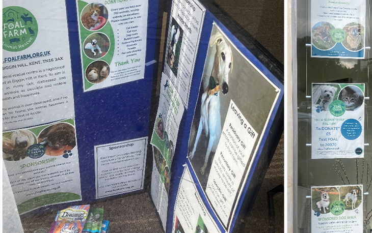 Supporting Local Foal Farm Animal Rescue - Doves Funeral Directors