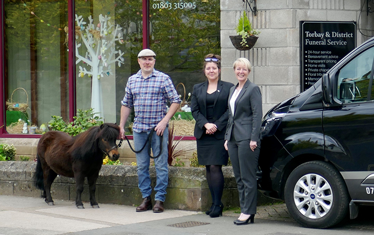 Patrick the pony is making a real difference in Torbay - Torbay ...