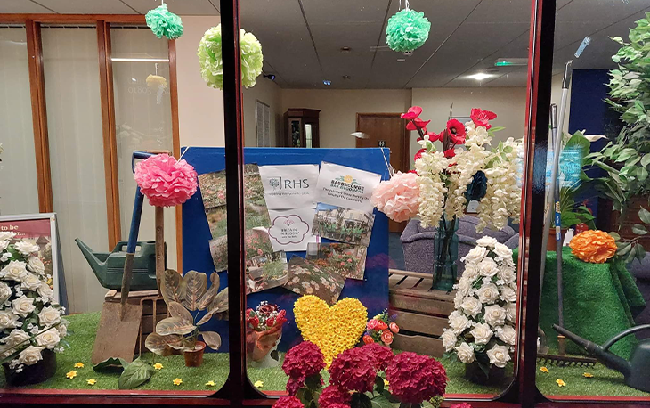 Babbacombe Bay Bloomers - Torbay & District Funeral Service