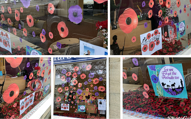Remembrance Window Display - Melia Powell Funeral Service